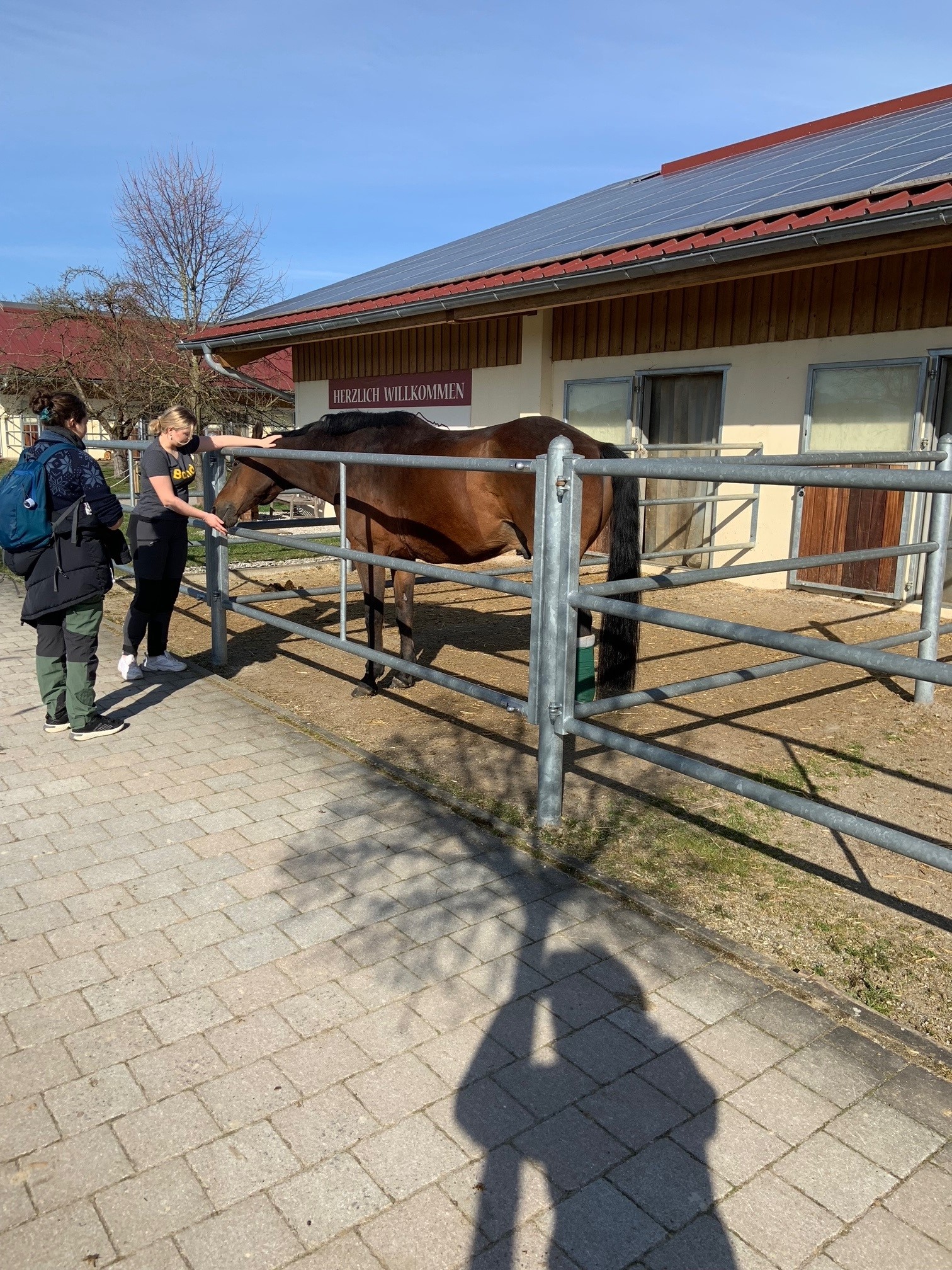 Unik arbeidserfaring i Bayern - Vestfold fylkeskommune
