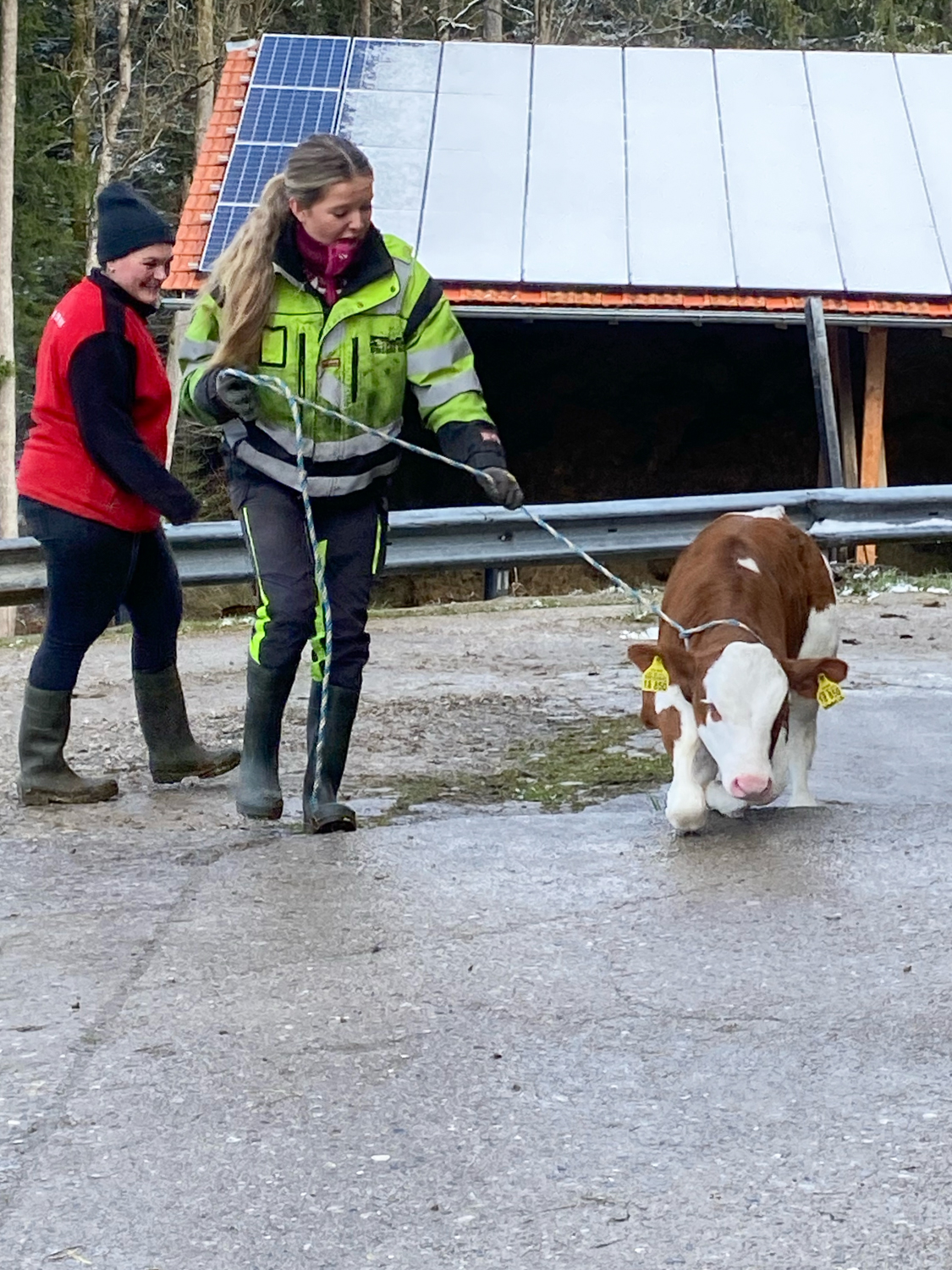 Tur til Ruhpolding med Erasmus+ - Vestfold fylkeskommune