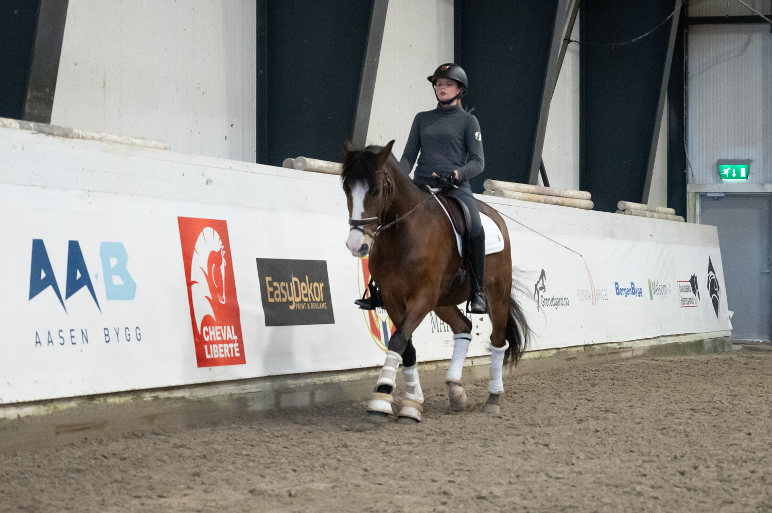 Flott demonstrasjon av hestetilbudet - Vestfold fylkeskommune