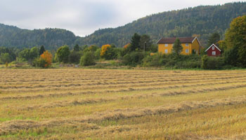 Vesetrene - Vestfold fylkeskommune